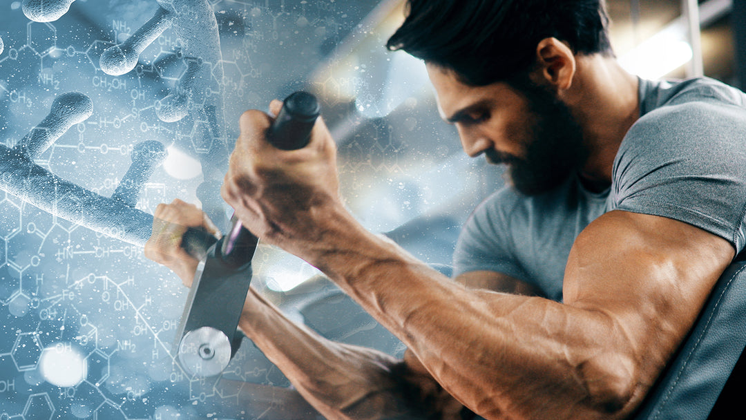 The Thirst for First - PVL